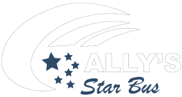 Ally's Star: Ally's Star Official Website For Online Bus Ticket Booking